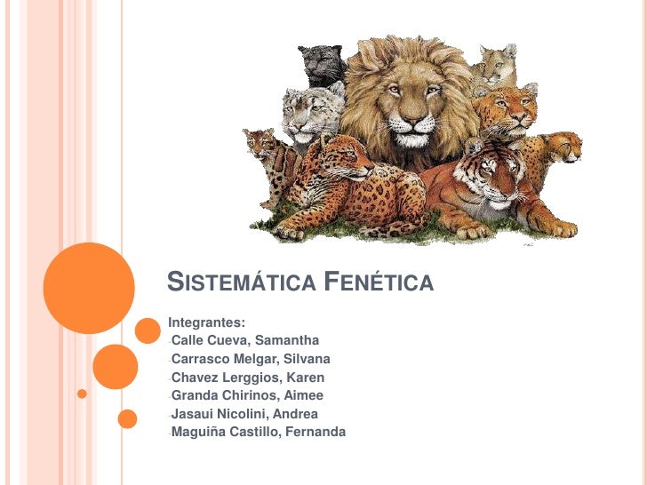 Sistemtica fenética