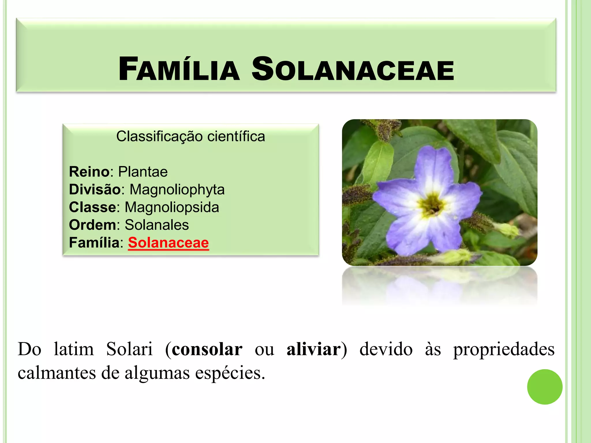Sistemática vegetal (Família Solanaceae) | PPTX