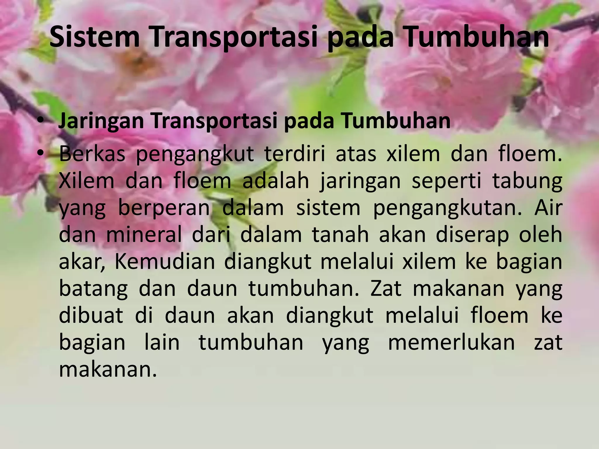 Sistem transportasi pada tumbuhan | PPTX