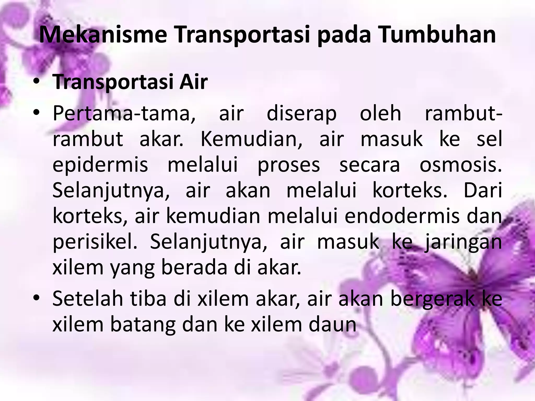 Sistem transportasi pada tumbuhan | PPTX