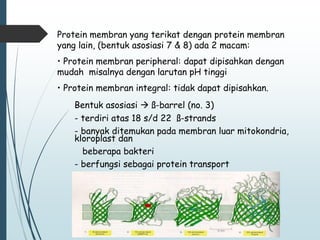 Sistem_Transport_pd_Membran-pertemuan2.ppt