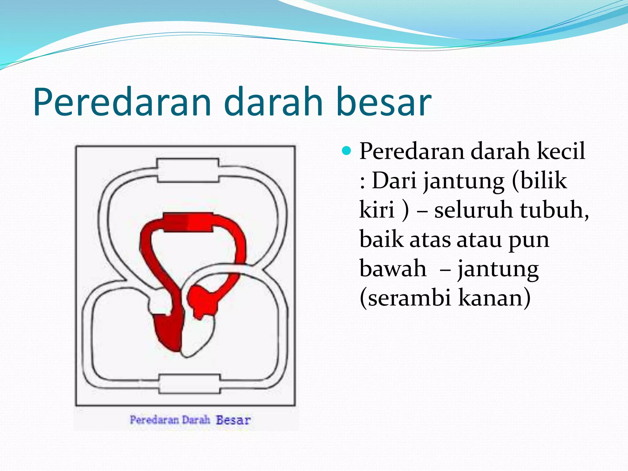 Sistem transpotasi manusia | PPT