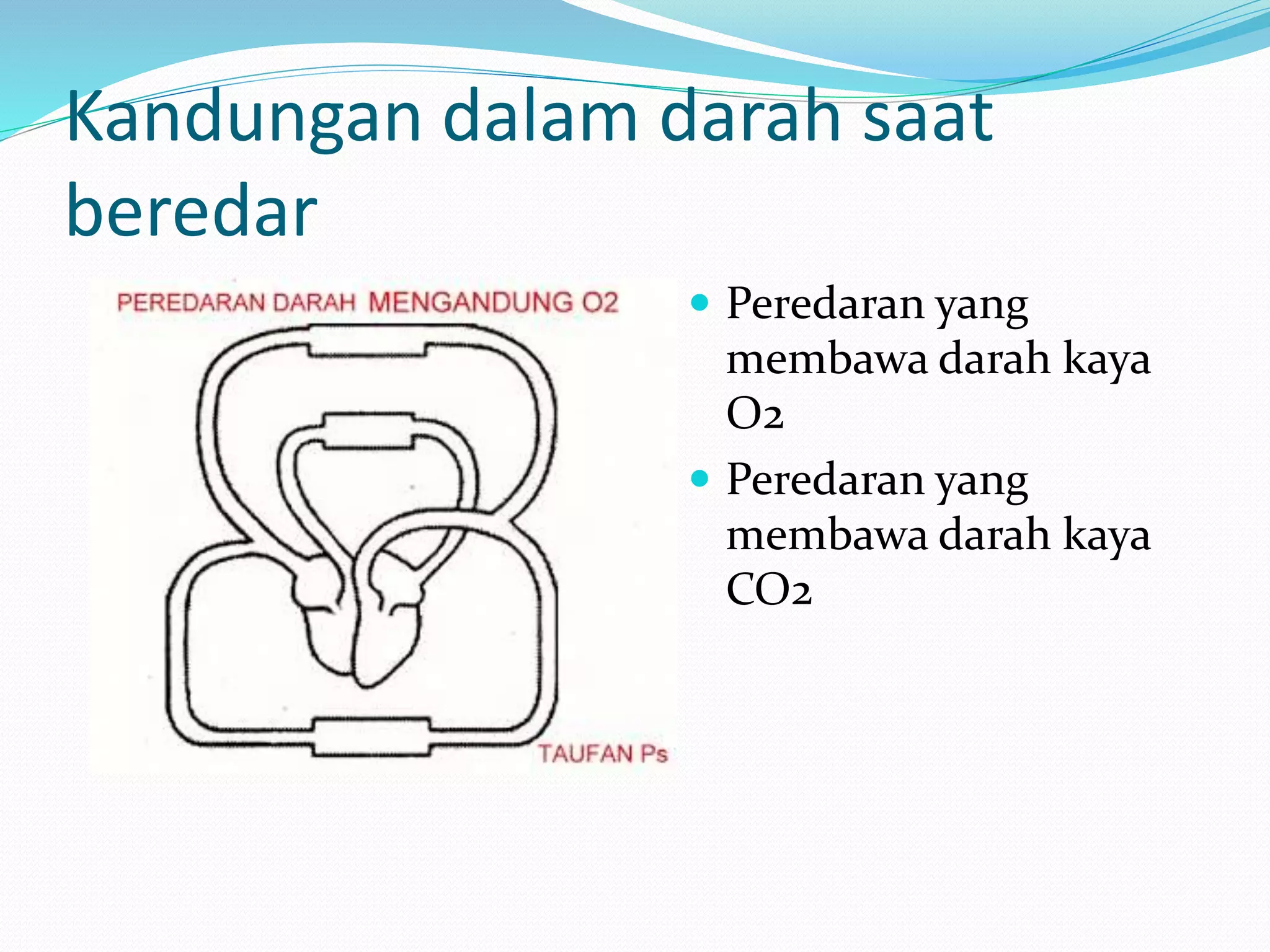 Sistem transpotasi manusia | PPT