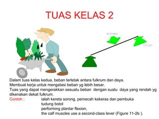 Sistem tuas | PPT