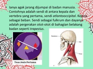 Sistem tuas | PPTX