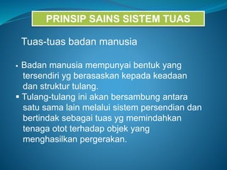 Sistem tuas | PPTX