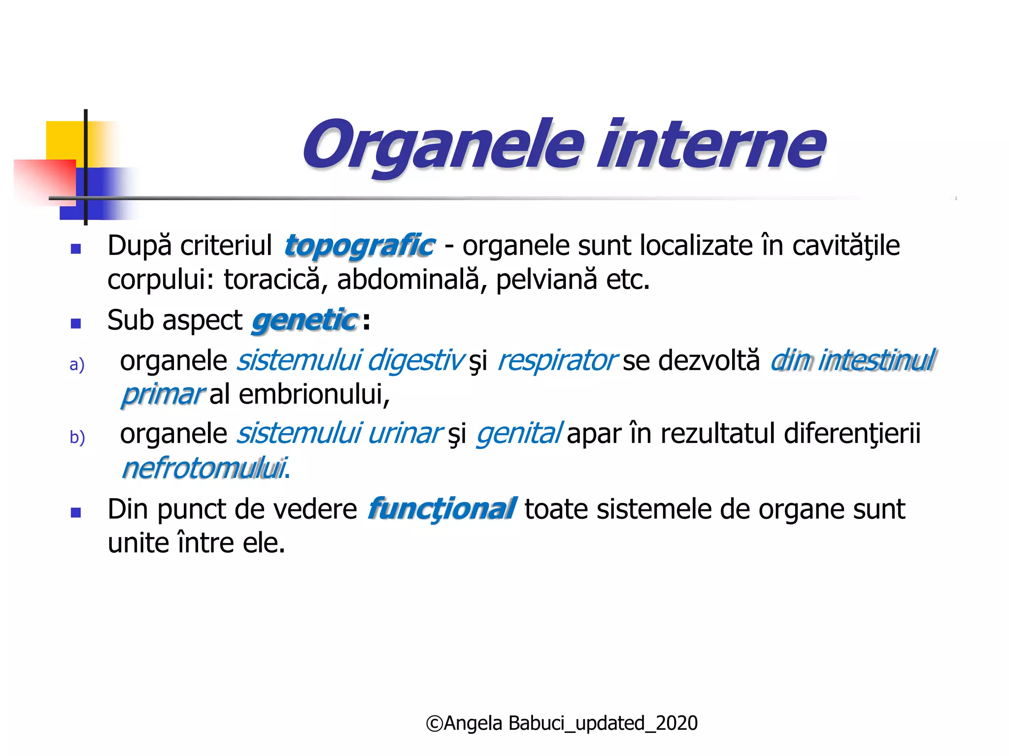 Sistemul-Digestiv_Peritoneul_updated_2020_web (1).pptx