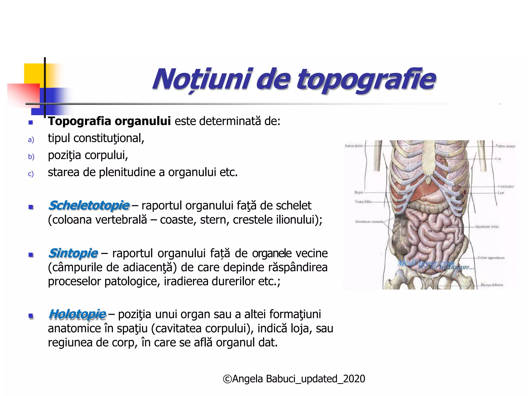 Sistemul-Digestiv_Peritoneul_updated_2020_web (1).pptx
