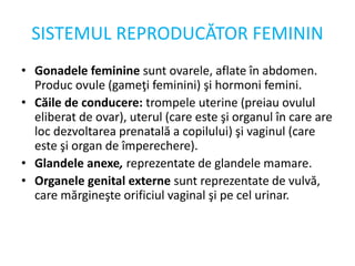 sistemul-reproducc482tor-la-om.ppt