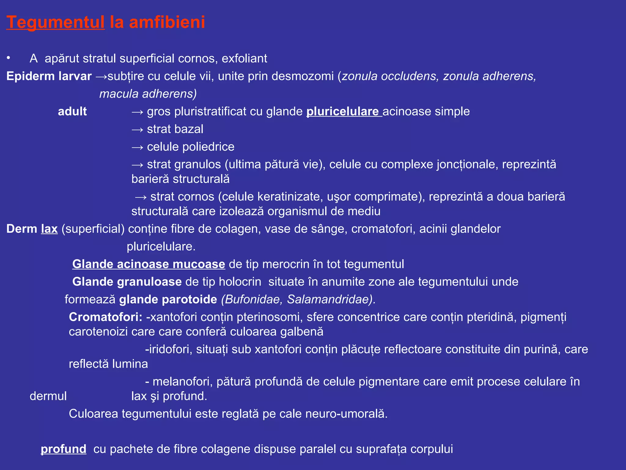 Sistemul Tegumentar | PPT