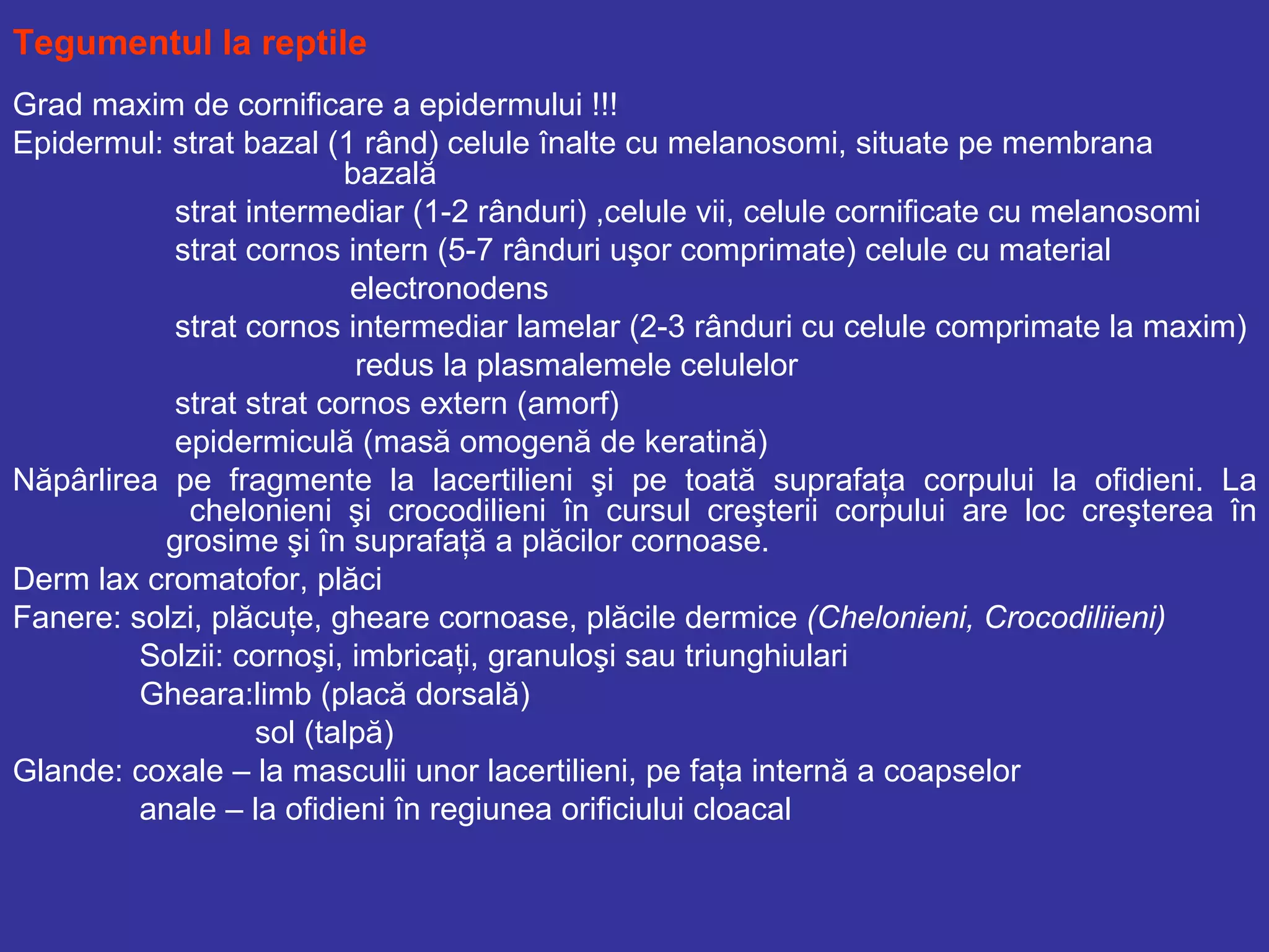 Sistemul Tegumentar | PPT