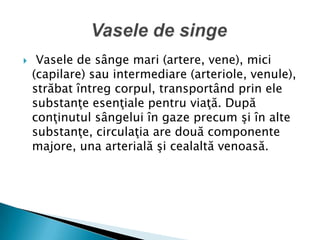 Sistemul circulatorpoint | PPT