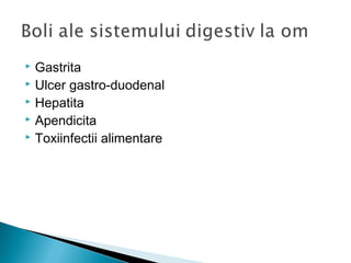Sistemul digestiv | PPT