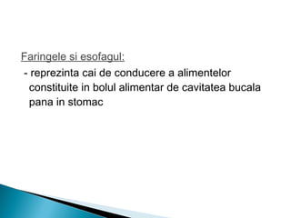 Sistemul digestiv | PPT
