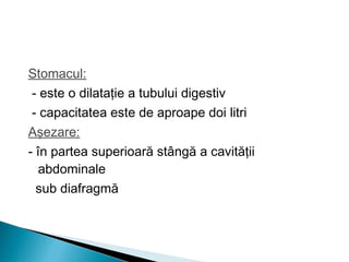 Sistemul digestiv | PPT