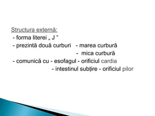 Sistemul digestiv | PPT