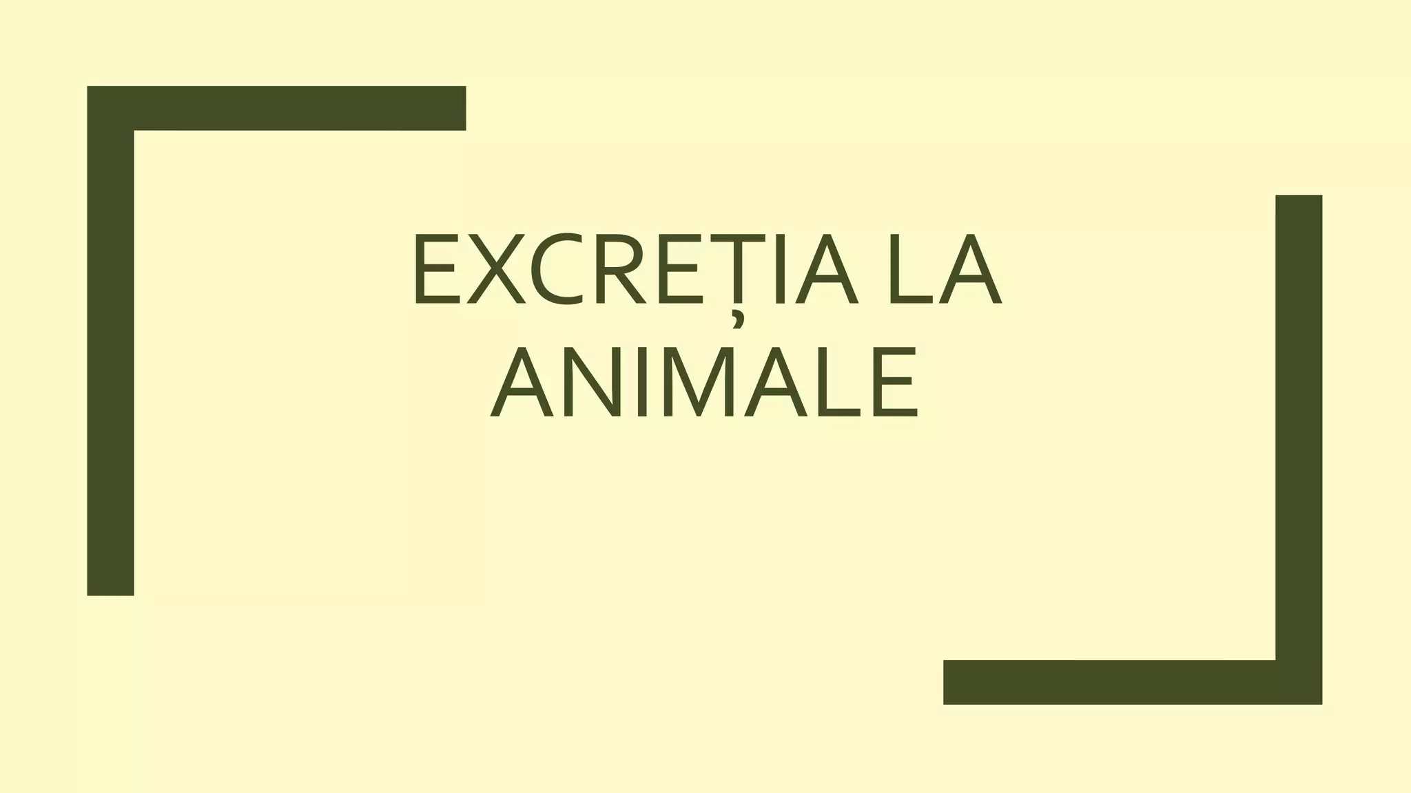 Sistemul excretor la om | PPTX