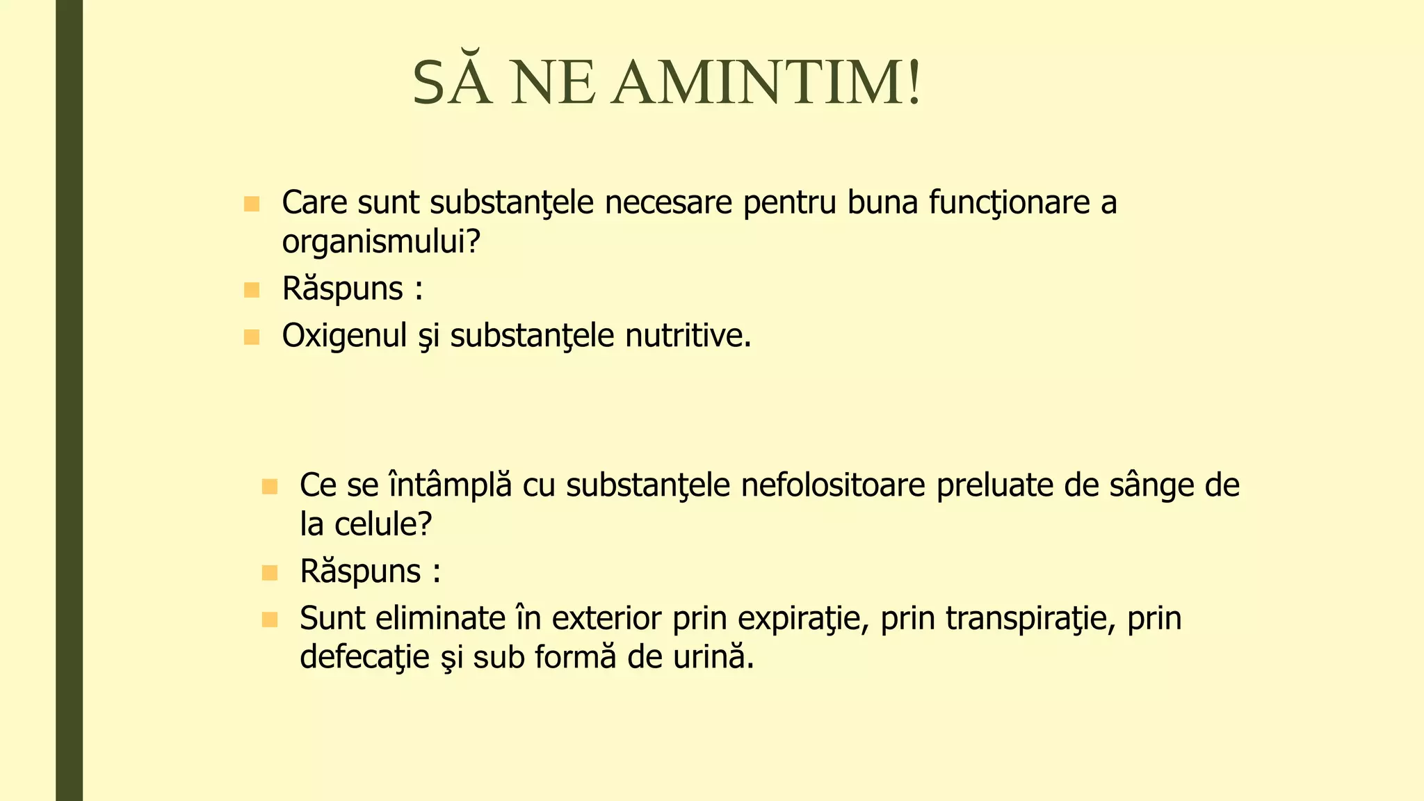 Sistemul excretor la om | PPTX
