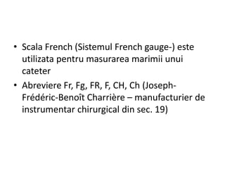 Sistemul french gauge | PPT