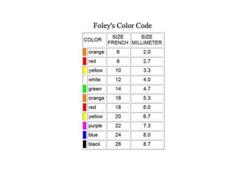 Sistemul french gauge | PPT