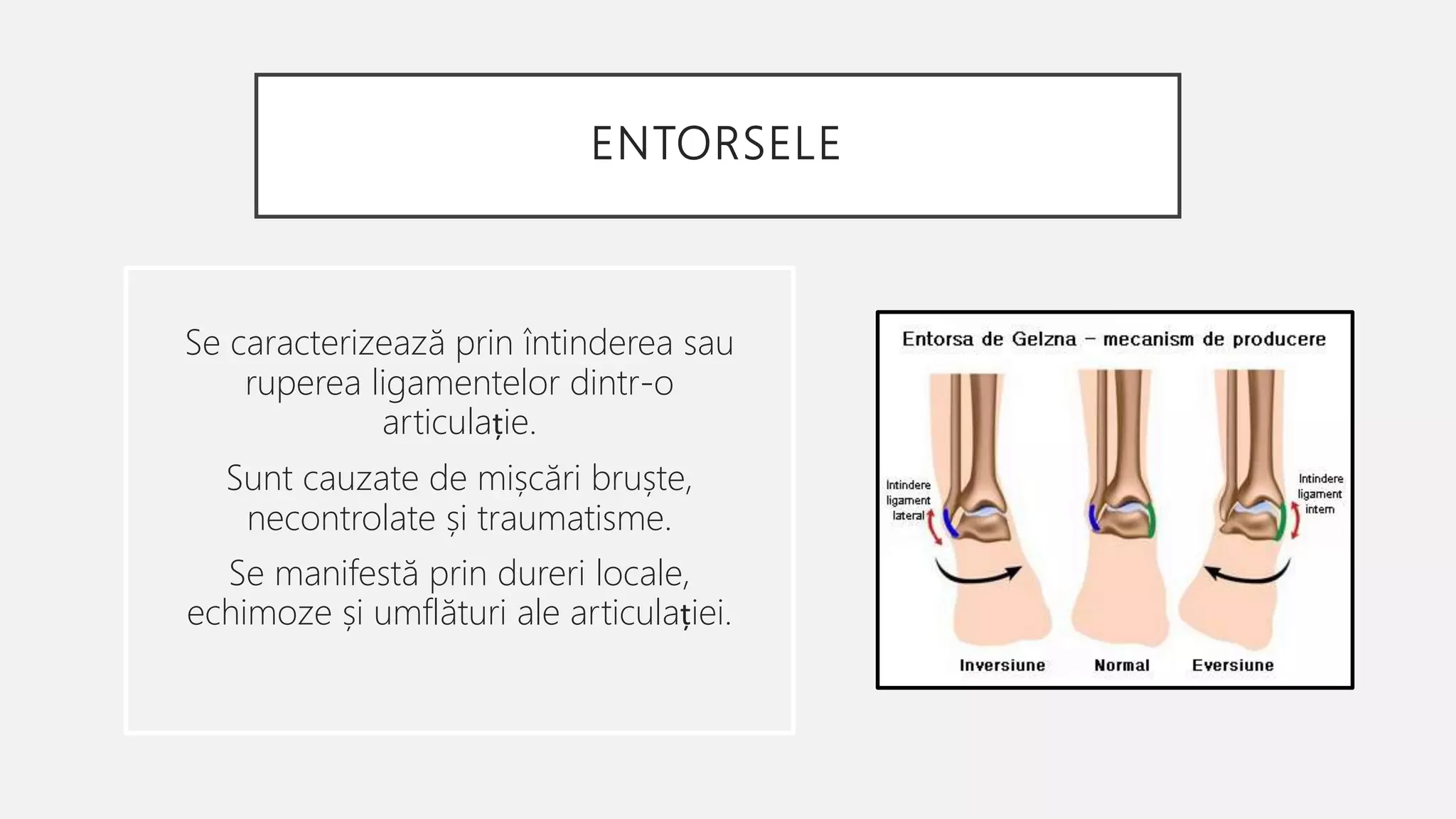 Sistemul locomotor - biologie | PPTX