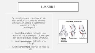 Sistemul locomotor - biologie | PPTX