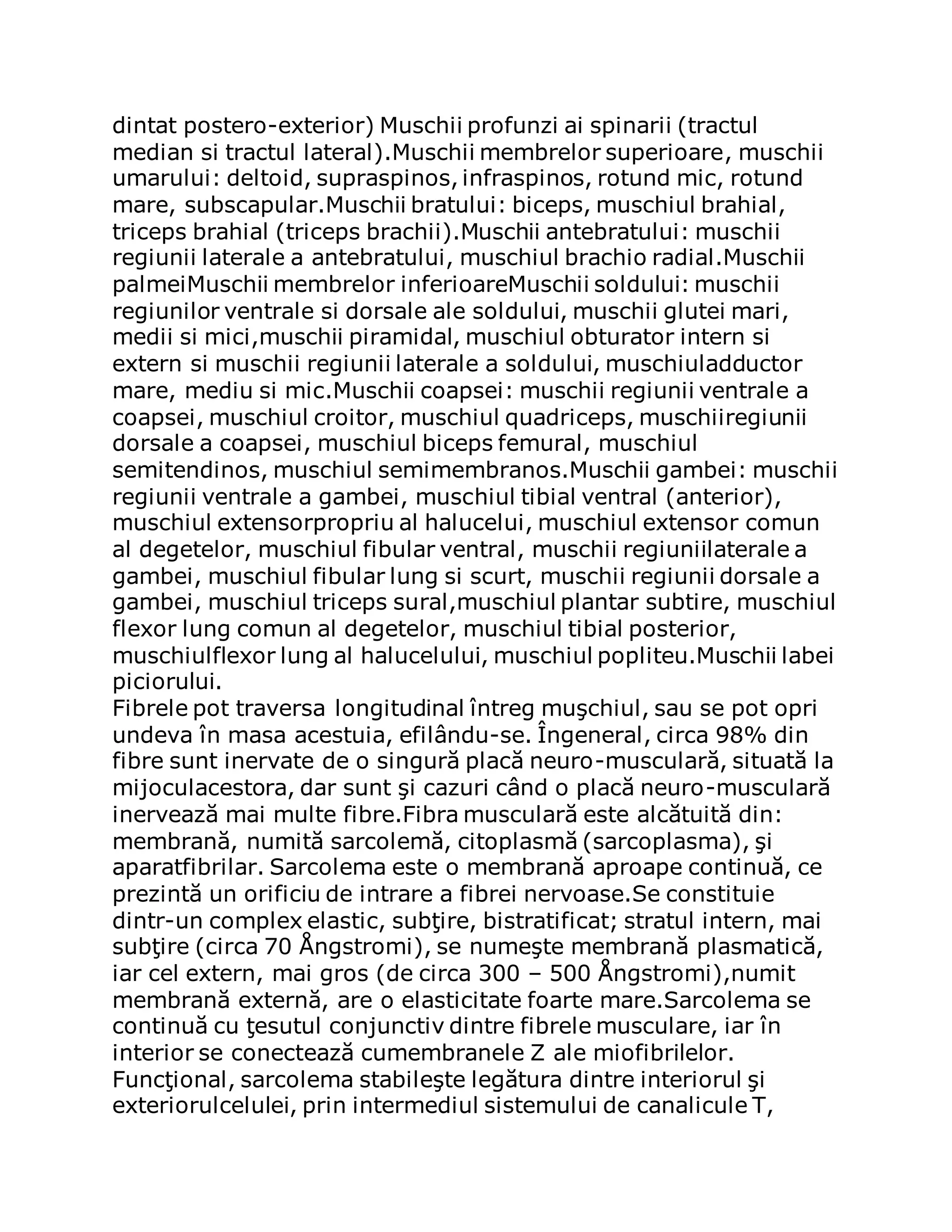 Sistemul muscular | PDF