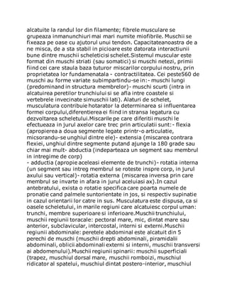 Sistemul muscular | PDF