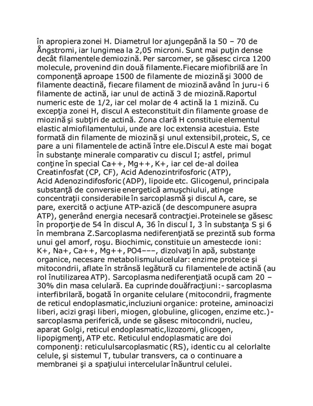 Sistemul muscular | PDF