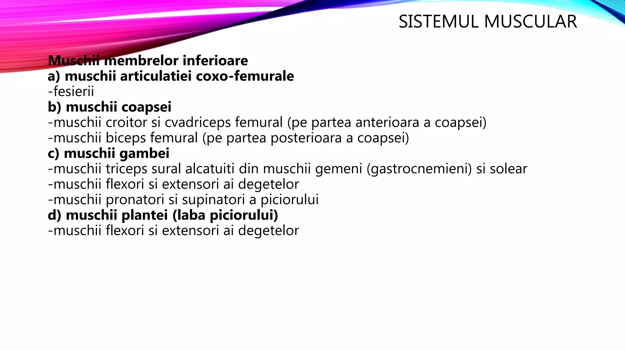 SISTEMUL MUSCULAR.pptx