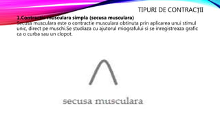 SISTEMUL MUSCULAR.pptx
