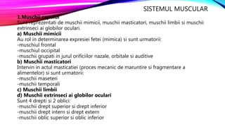 SISTEMUL MUSCULAR.pptx