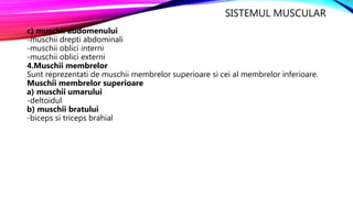 SISTEMUL MUSCULAR.pptx