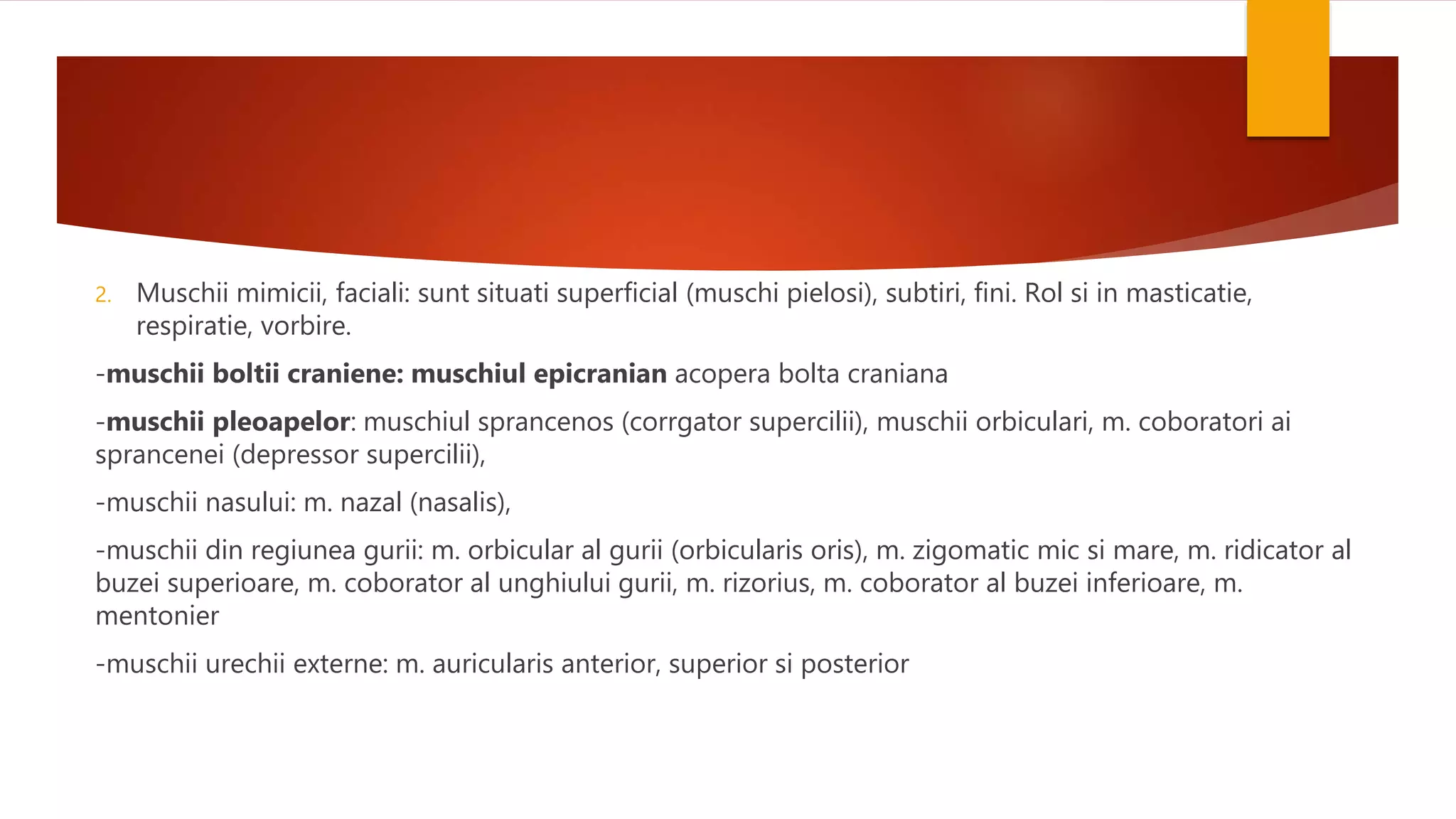 SISTEMUL MUSCULAR.ppt