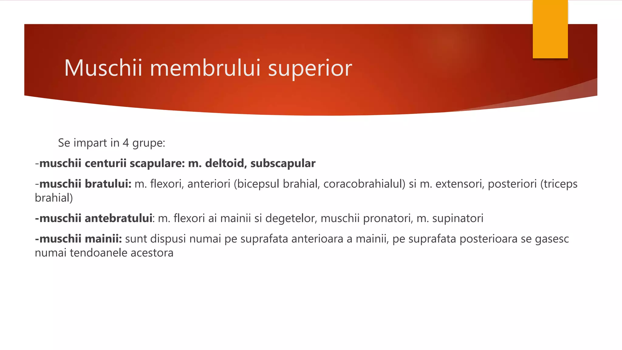 SISTEMUL MUSCULAR.ppt