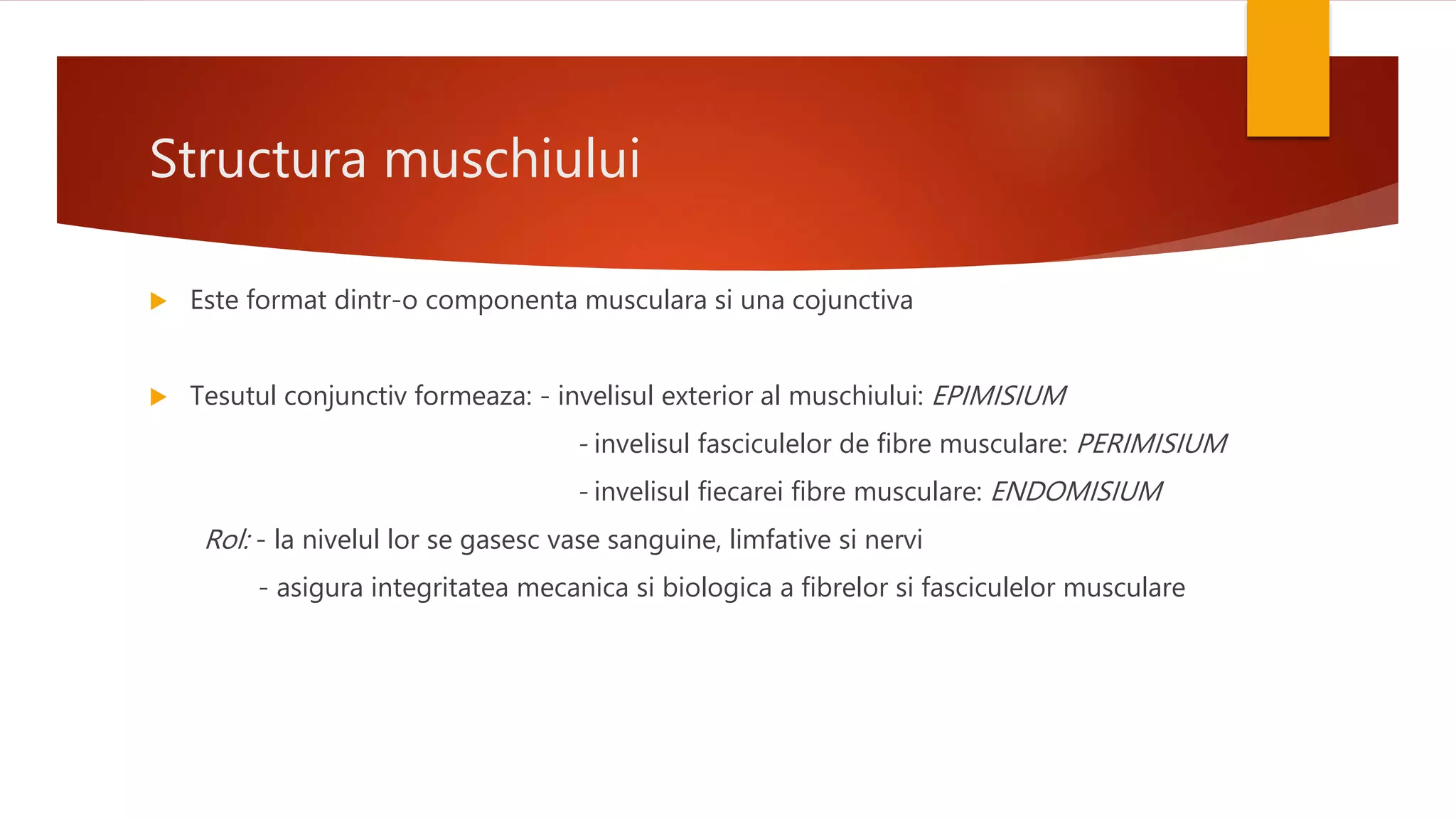 SISTEMUL MUSCULAR.ppt