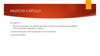 SISTEMUL MUSCULAR.ppt