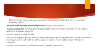 SISTEMUL MUSCULAR.ppt