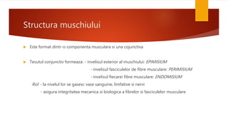 SISTEMUL MUSCULAR.ppt