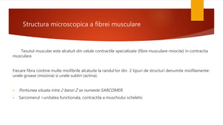 SISTEMUL MUSCULAR.ppt