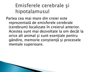 Sistemul nervos | PPTX