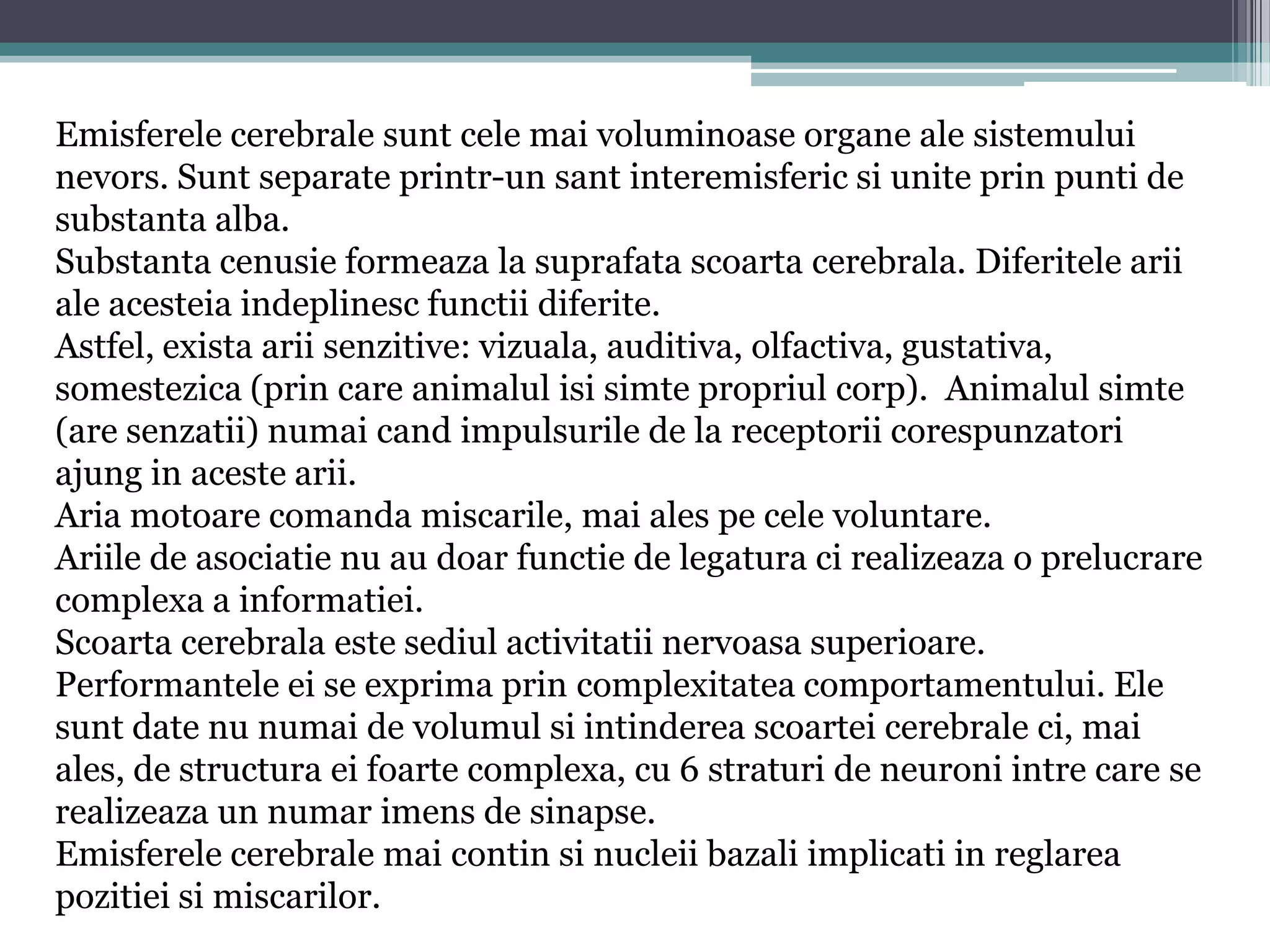 Sistemul nervos | PPTX