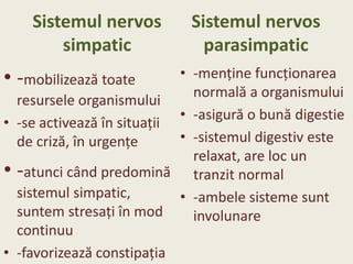 Sistemul nervos autonom | PPTX