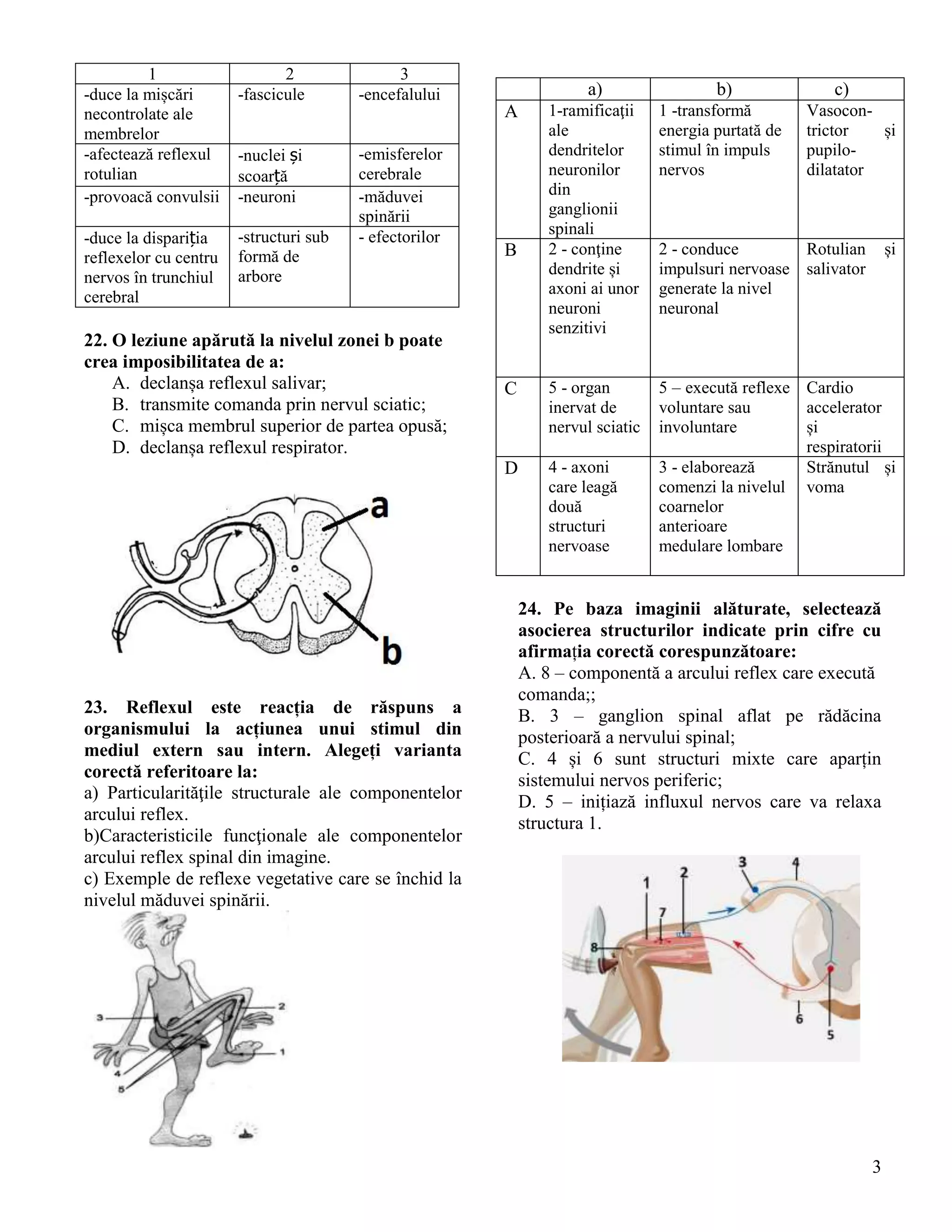 sistemul_nervos_test_sumativ_clasa_a_viia.doc