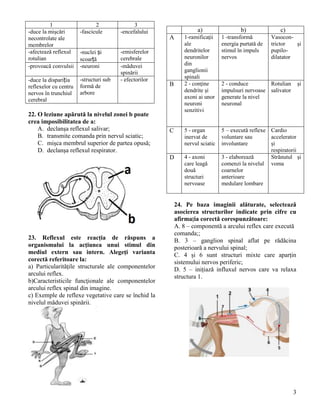 sistemul_nervos_test_sumativ_clasa_a_viia.doc