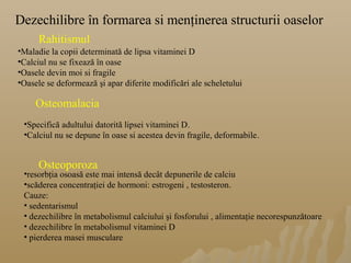 ciobanu_catalina_flickr | PPT