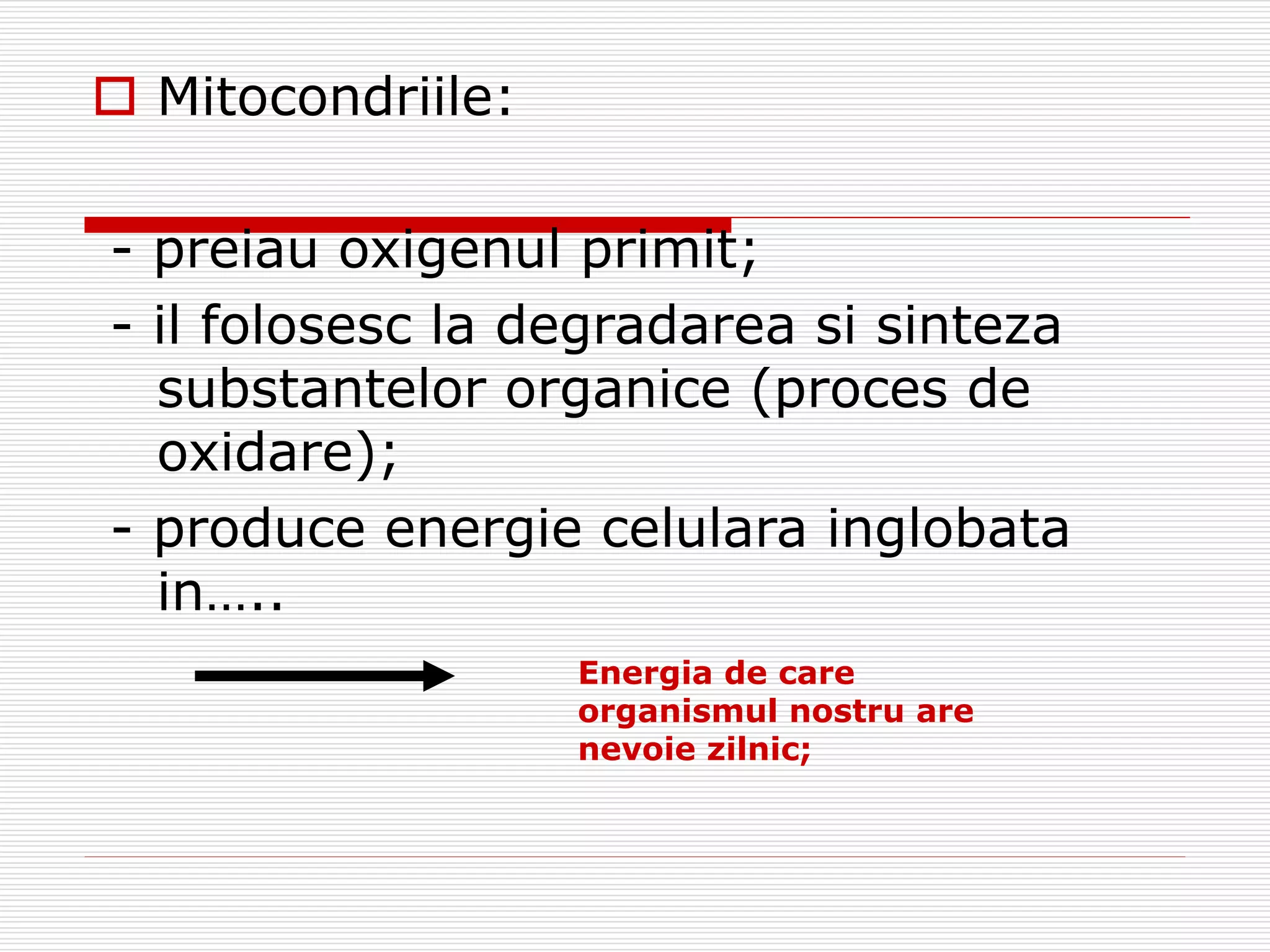 Sistemul respirator.ppt