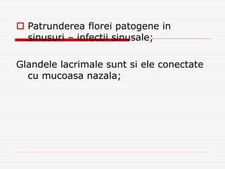Sistemul respirator.ppt