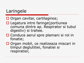 Sistemul respirator.ppt