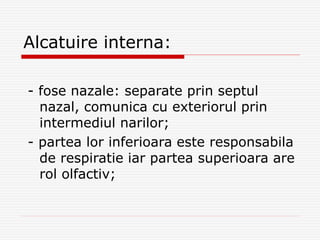 Sistemul respirator.ppt